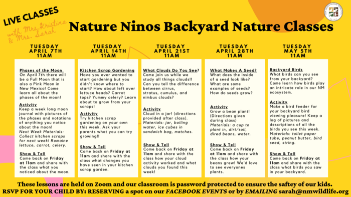 Nature Ninos Backyard Nature Classes :: Nature Ninos New Mexico