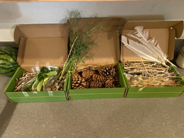 Natural Loose Parts (Creativity & Equity) :: Nature Ninos New Mexico