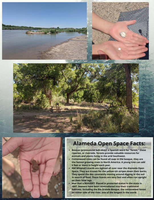 Alameda Open Space :: Nature Ninos New Mexico