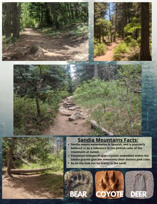 Tree Springs Trail :: Nature Ninos New Mexico