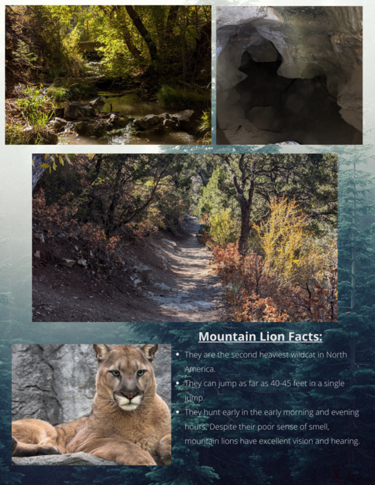 Sandia Man Caves :: Nature Ninos New Mexico
