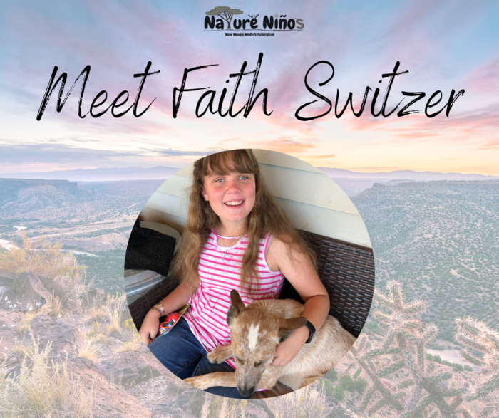 Meet Faith Switzer :: Nature Ninos New Mexico