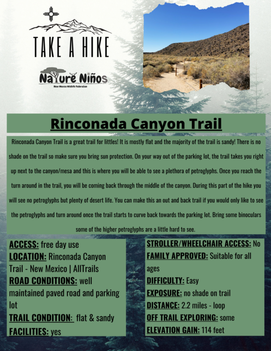 Rinconada Canyon Trail :: Nature Ninos New Mexico