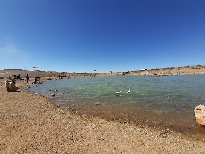 Great Turnout at Trees Lake, Deming Event :: Nature Ninos New Mexico